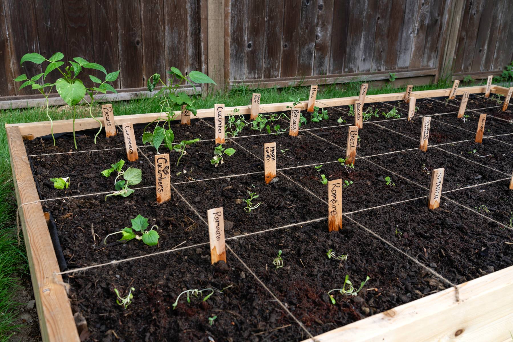 Square Foot Gardening Planting Guide Mother Earth News Square Foot Gardening Planting Guide Mother Earth News